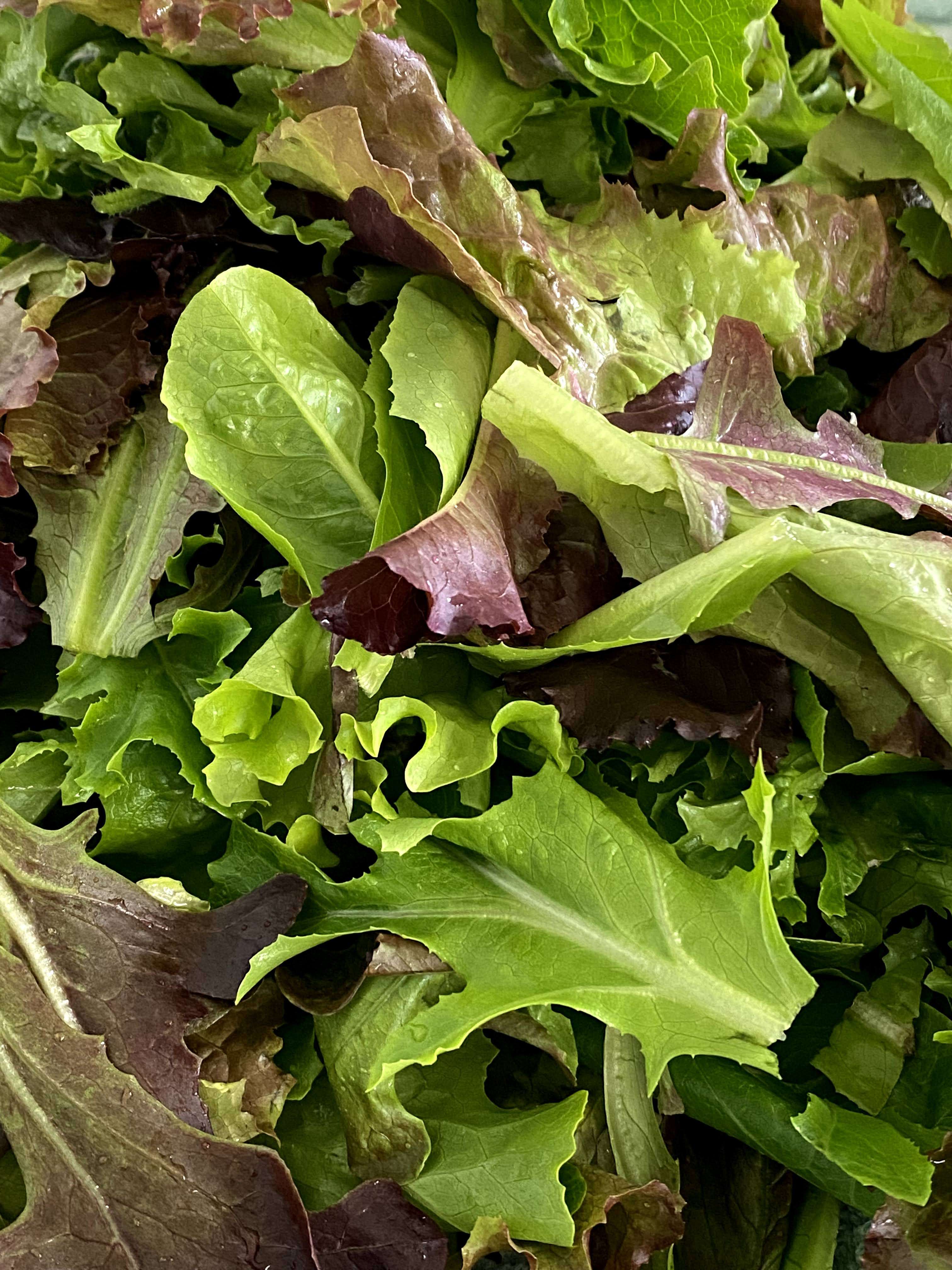 Home - Sirius Micro Farm